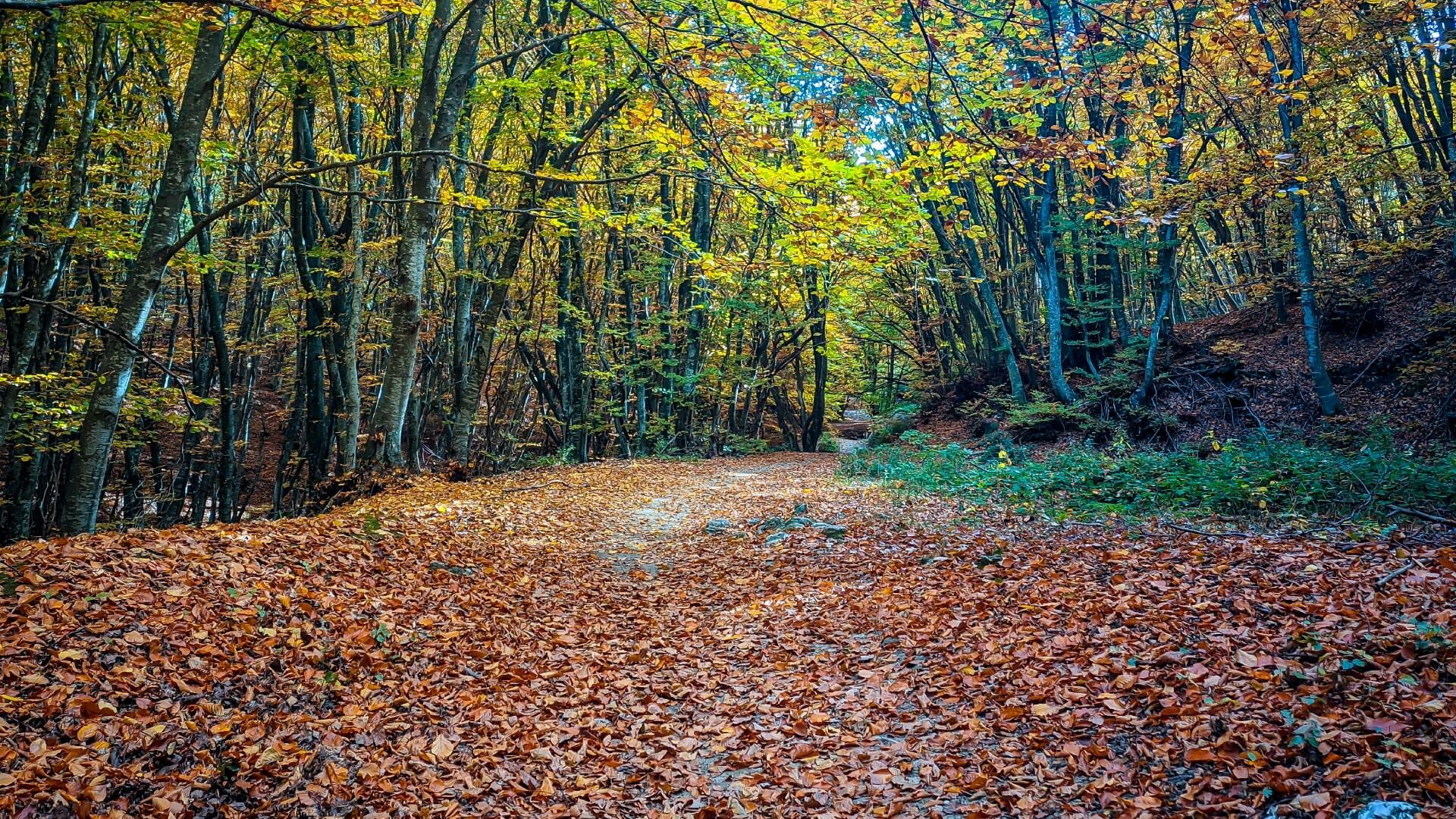 Short escape - Day trip to Chortiatis Mountain - ENTOPIA PROJECT ...