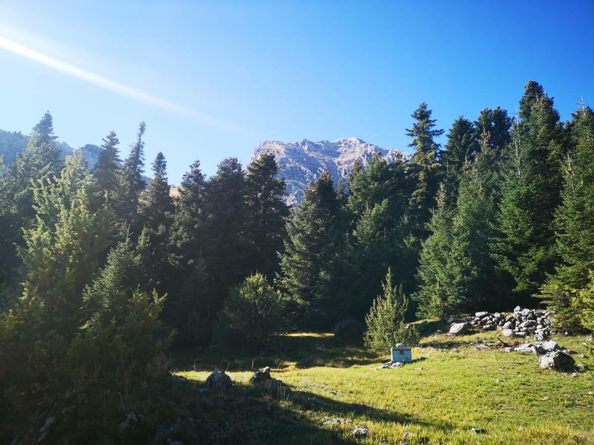 Mountain Retreat - Discover Pavliani and Mount Giona - ENTOPIA PROJECT ...