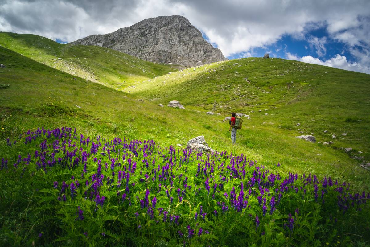 Mountain Retreat - Discover Pavliani and Mount Giona - ENTOPIA PROJECT ...